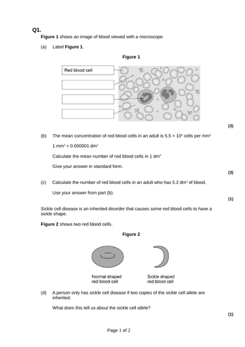 AQA Trilogy Science Organisation Topic | Teaching Resources