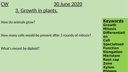 Growth in plants | Teaching Resources