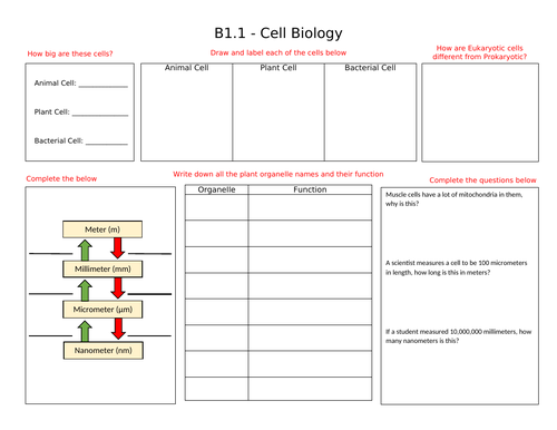 Cell Biology Lesson | Teaching Resources