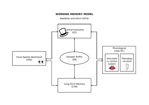 AQA Psychology Memory Models Revision Lesson and Sheets | Teaching ...
