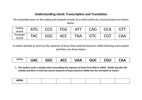 Protein synthesis: TRANSLATION (Edexcel Int. A-level Biology ...