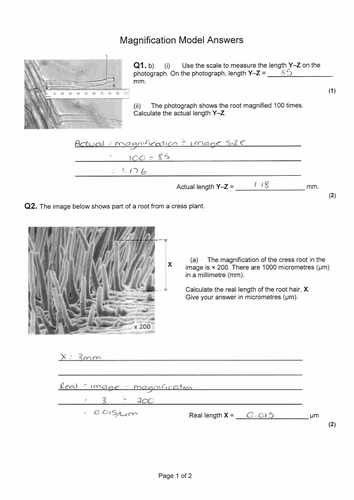 AQA Biology Topic 1 Microscopes Required Practical | Teaching Resources