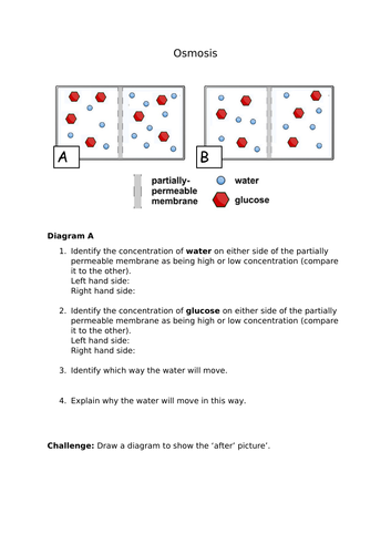 AQA Biology Topic 1 Osmosis | Teaching Resources