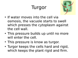 AQA Biology Topic 1 Osmosis in Plants | Teaching Resources