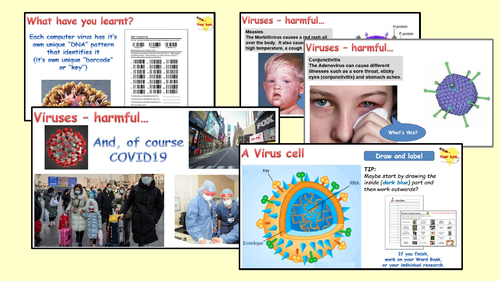 Micro organisms - 4. Viruses & Vaccines (PowerPoint, Worksheets and ...