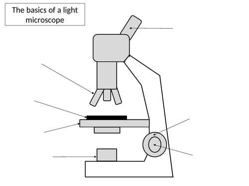 Magnification & resolution (Edexcel Int. A-level Biology) | Teaching ...