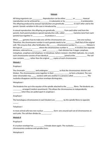 Meiosis worksheet | Teaching Resources