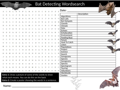 Bat Detecting Wordsearch Starter Settler Activity Homework Cover Lesson ...