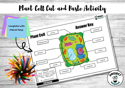 Plant Cell Activities [Cut and Paste] | Teaching Resources