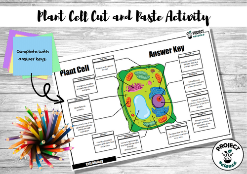 Plant Cell Activities [Cut and Paste] | Teaching Resources