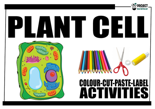Plant Cell Activities [Cut and Paste] | Teaching Resources