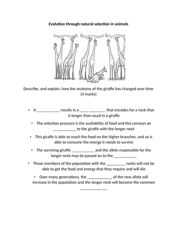 Evolution, natural selection & adaptations (Edexcel A level Biology B ...