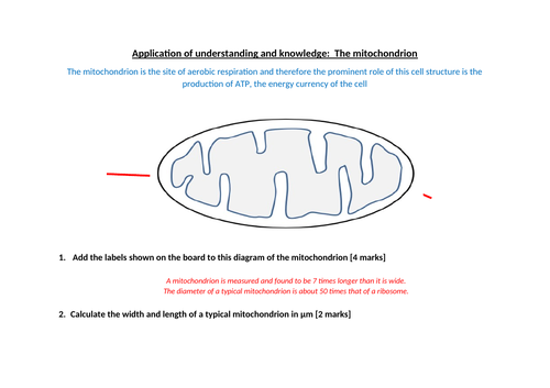 Eukaryotic cells (Edexcel A-level Biology B) | Teaching Resources