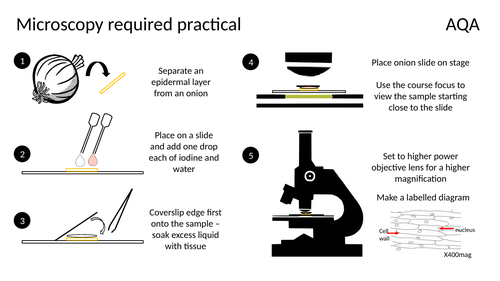 AQA Microscopy required practical: Visual method | Teaching Resources AQA Microscopy required practical: Visual method | Teaching Resources