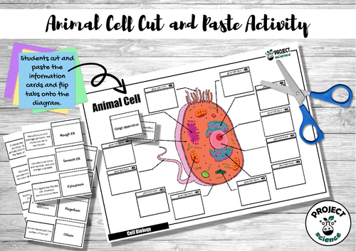Animal Cell Activities [Cut and Paste] | Teaching Resources