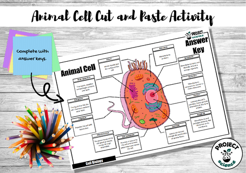 Animal Cell Activities [Cut and Paste] | Teaching Resources