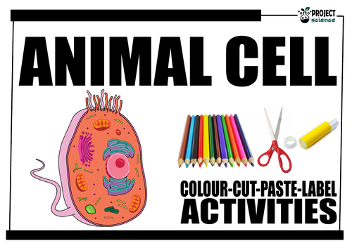 Animal Cell Activities [Cut and Paste] | Teaching Resources