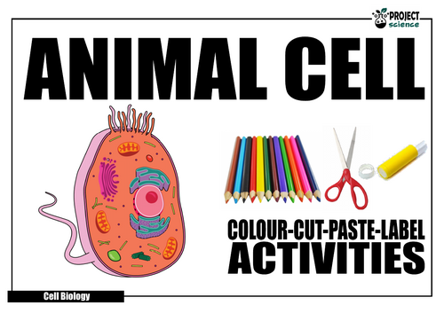 Animal Cell Activities [Cut and Paste] | Teaching Resources