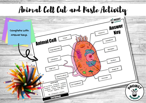 Animal Cell Activities [Cut and Paste] | Teaching Resources