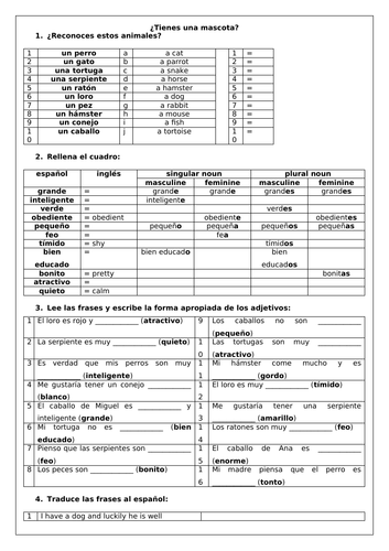 Mi familia / Family - Spanish GCSE (13 worksheets) | Teaching Resources