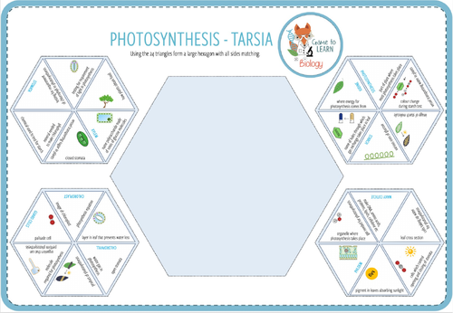Photosynthesis - Digital Tarsia for iPad (KS3/4) | Teaching Resources