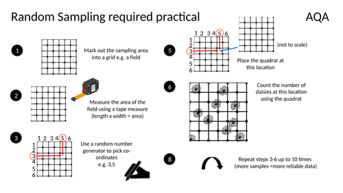 AQA Sampling required practical - VISUAL METHOD | Teaching Resources