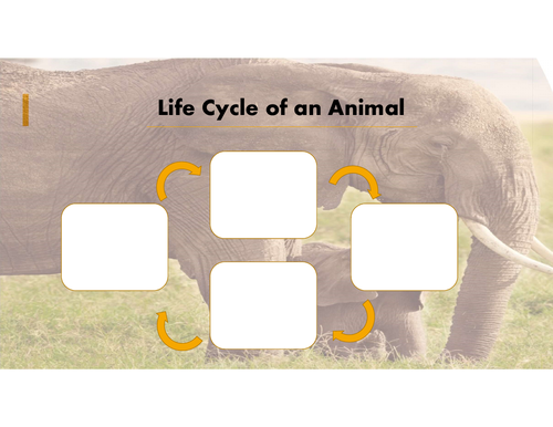 12 Week Conservation Lesson Plan | Teaching Resources