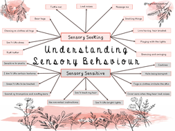Sensory Seeking Behaviour | Teaching Resources