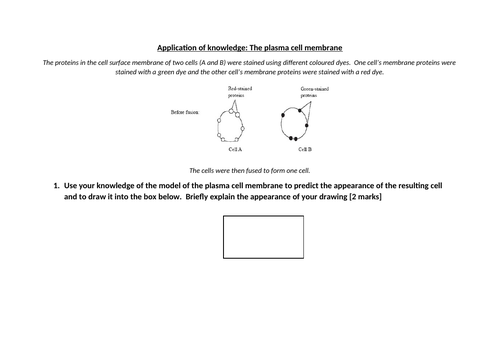 Cell surface membrane (Edexcel A-level Biology B) | Teaching Resources