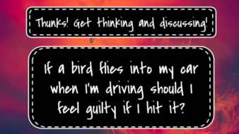 Thunks Activity Pack | Teaching Resources