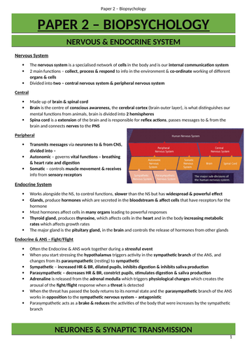 AQA A level Psychology Biopsychology Revision Guide | Teaching Resources