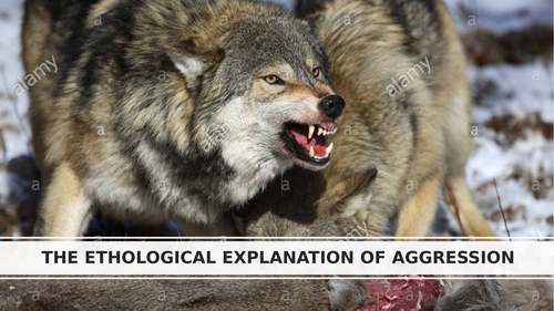 Aggression | Teaching Resources