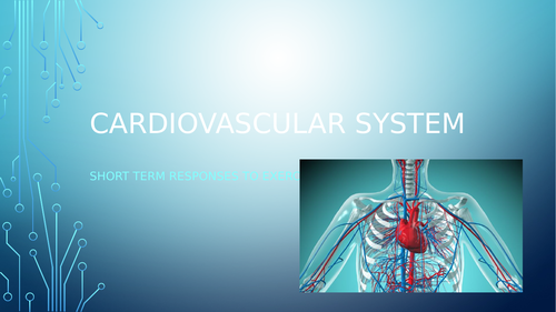 BTEC Sport Level 3 Cardiovascular System Teaching Pack | Teaching Resources