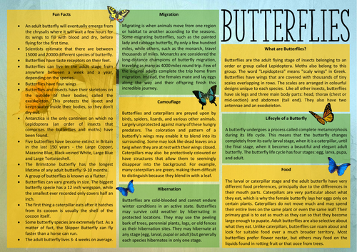 Butterfly Comprehension | Teaching Resources