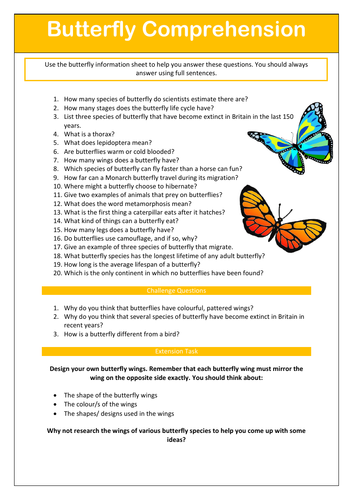 Butterfly Comprehension | Teaching Resources