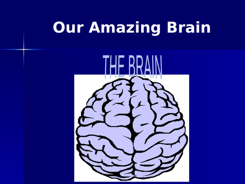 Our Amazing Brains (2 - 3 lessons) | Teaching Resources