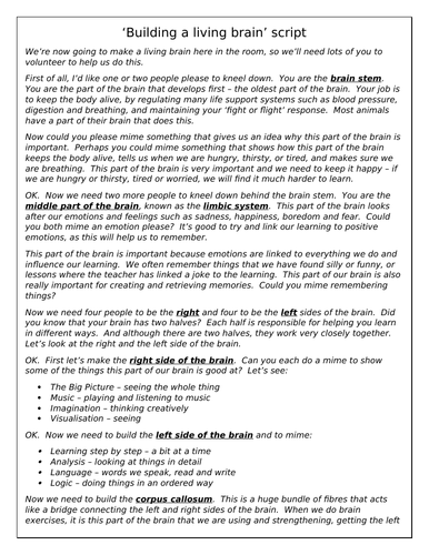 Our Amazing Brains (2 - 3 lessons) | Teaching Resources