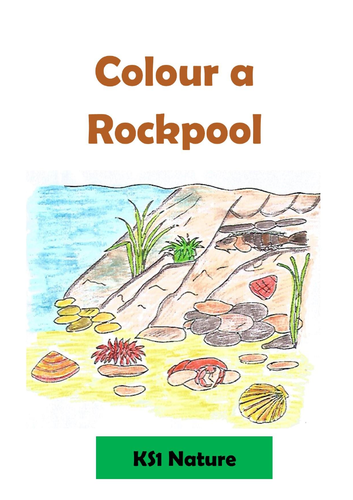 Rockpool picture to colour | Teaching Resources