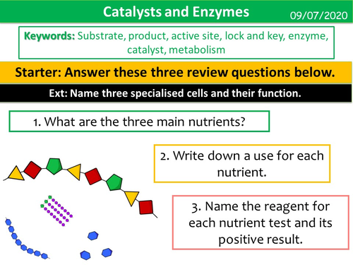 Catalysts and Enzymes | Teaching Resources