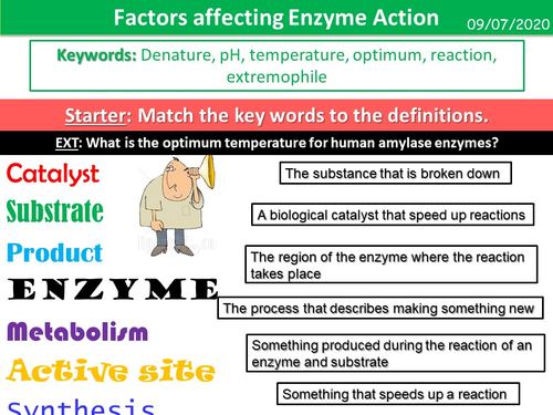 Factors affecting Enzyme Action | Teaching Resources