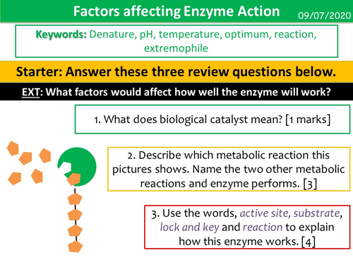 Factors affecting Enzyme Action | Teaching Resources