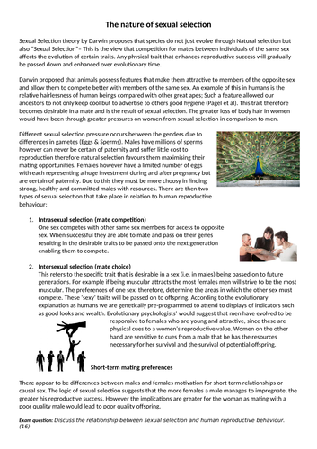 AQA Relationships- Sexual Selection and Human Reproductive Behaviour ...