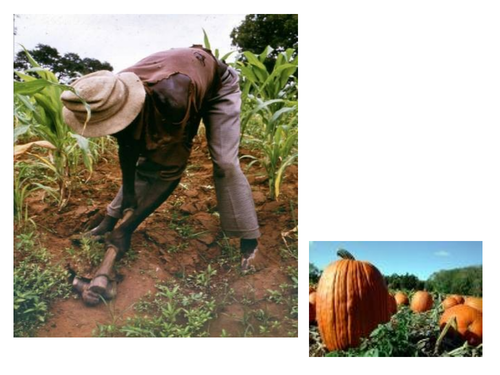 Black History Month Literacy Lessons | Teaching Resources