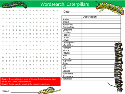 Caterpillars Wordsearch Sheet Starter Activity Keywords Cover Animals ...