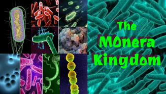 The Monera (Bacteria) Kingdom | Teaching Resources