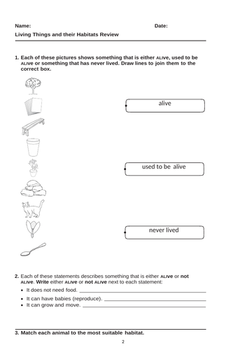 Years 2-6 Science End of Unit Assessments | Teaching Resources