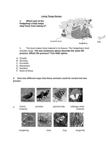 Years 2-6 Science End of Unit Assessments | Teaching Resources