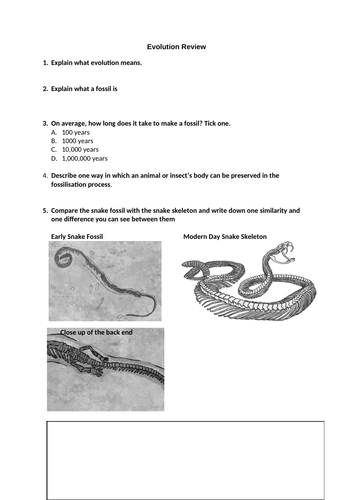 Years 2-6 Science End of Unit Assessments | Teaching Resources