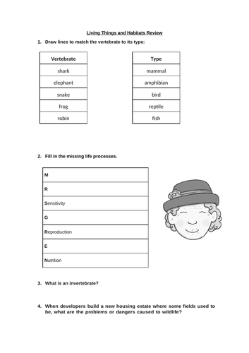 Years 2-6 Science End of Unit Assessments | Teaching Resources