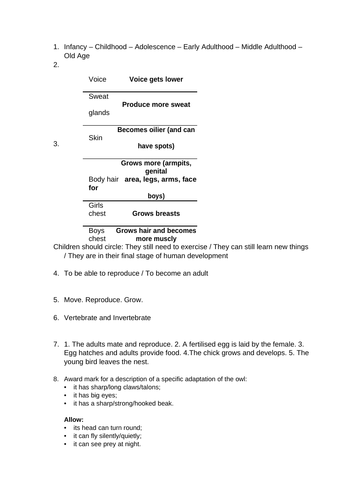 Years 2-6 Science End of Unit Assessments | Teaching Resources